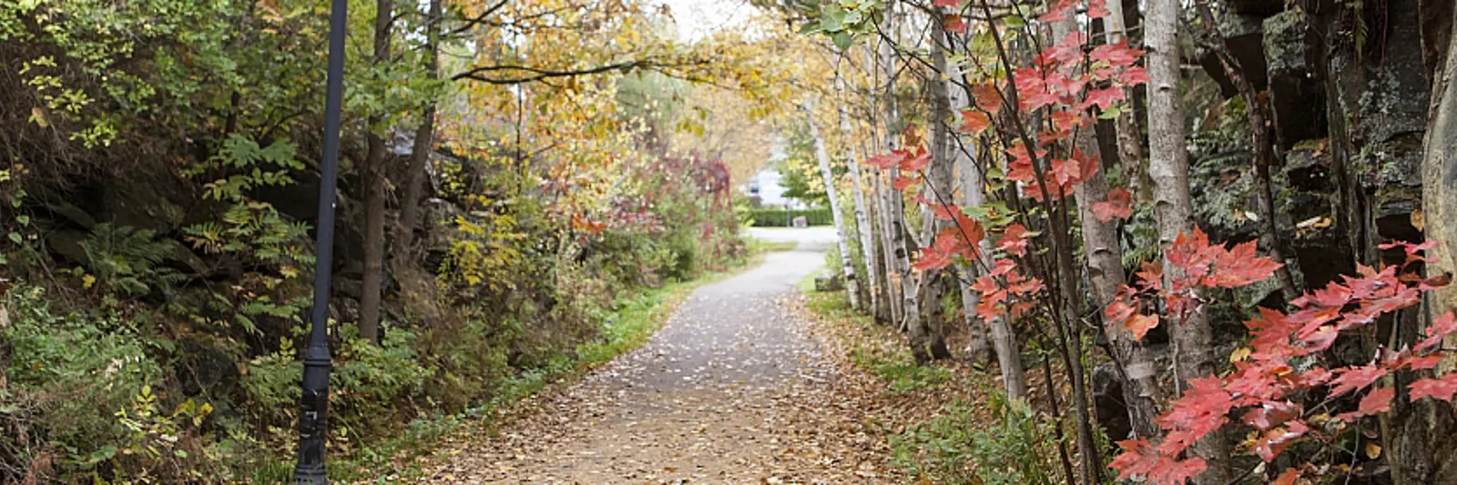 Rotary and Algonquin Regiment Fitness Trail | Town of Parry Sound