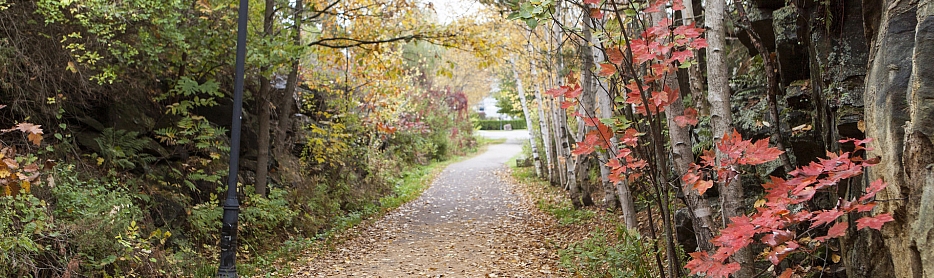 Rotary and Algonquin Regiment Fitness Trail | Town of Parry Sound